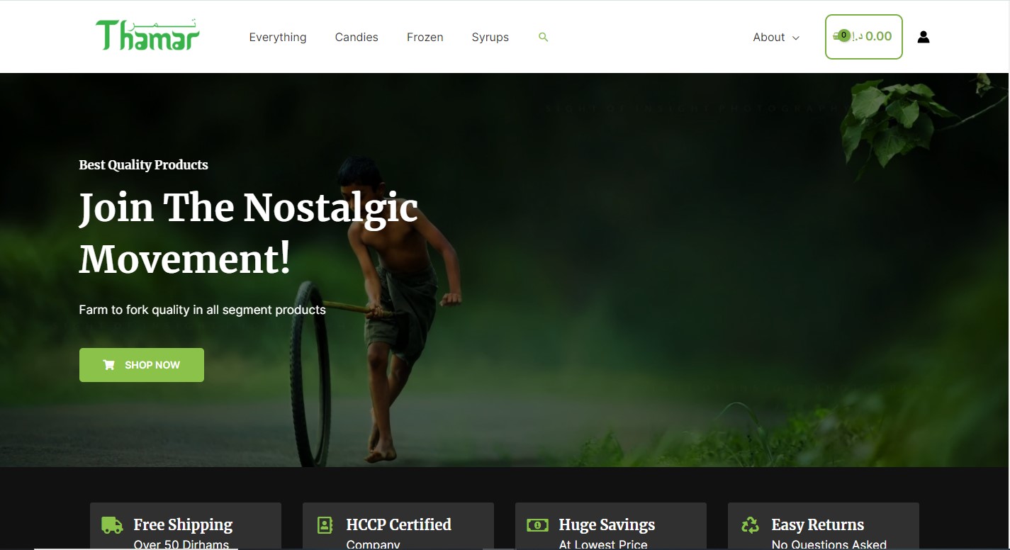 Importance of Website for Business Organization